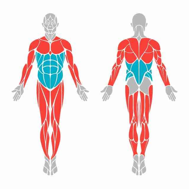 Outdoor Leg Lift Station | Outdoor Gym Products UK